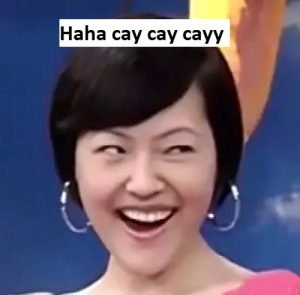 Tổng hợp 179+ ảnh cay meme mặn mòi hài hước nhất