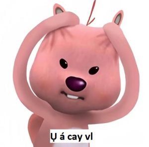 Tổng hợp 179+ ảnh cay meme mặn mòi hài hước nhất