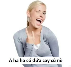 Tổng hợp 179+ ảnh cay meme mặn mòi hài hước nhất