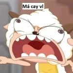 Tổng hợp 179+ ảnh cay meme mặn mòi hài hước nhất