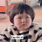 Tổng hợp 179+ ảnh cay meme mặn mòi hài hước nhất