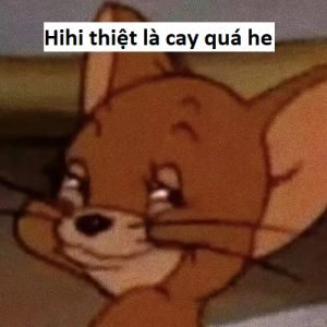 Tổng hợp 179+ ảnh cay meme mặn mòi hài hước nhất